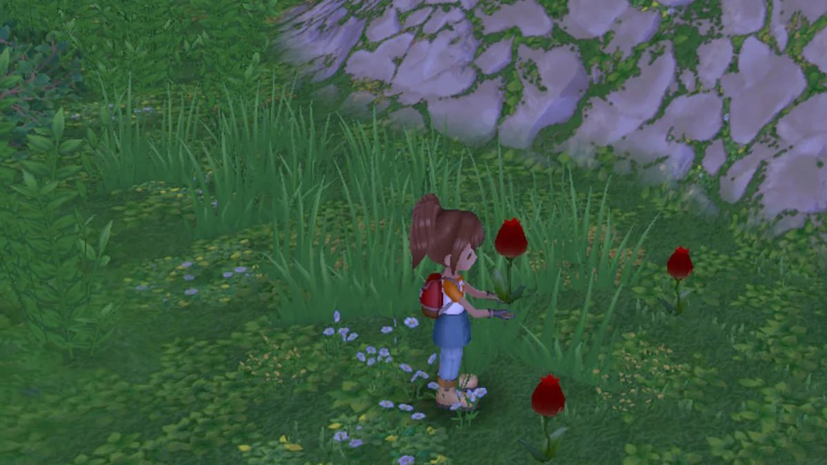 Story Of Seasons: A Wonderful Life Remake Forageables – Wie Man Sie ...