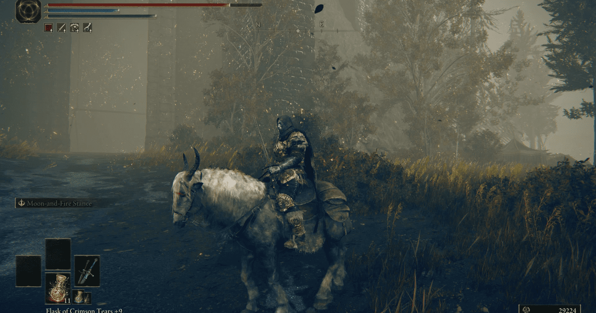 Elden Ring: "Someplace A Nice Rune Has Damaged" Defined